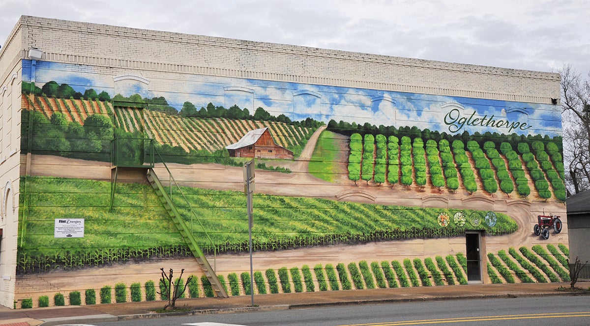 Rural Murals | Flint Energies